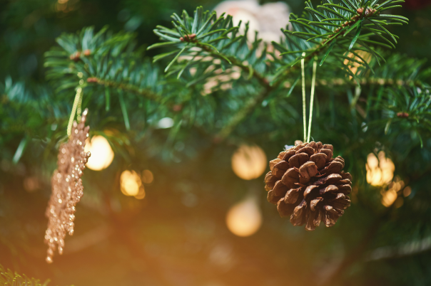 The Fifield Inn Christmas Background – The Fifield Inn